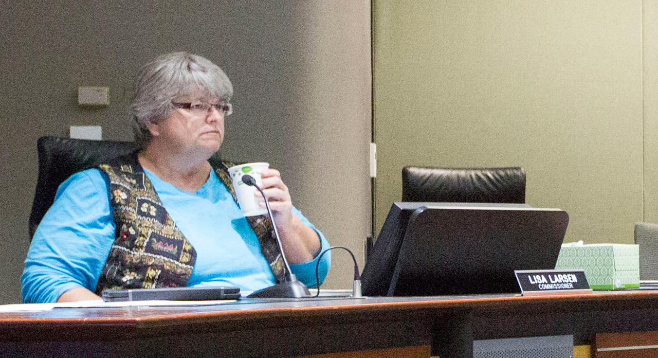 Commissioner Lisa Larsen files for City Commission election | News ...